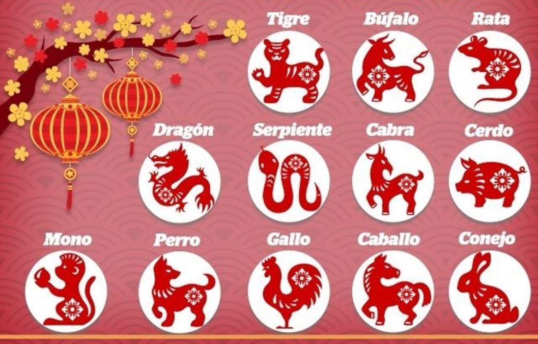 ¿Cómo saber cuál es mi signo en el horóscopo chino? - Tradupla